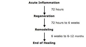 Soft Tissue Injury and Repair
