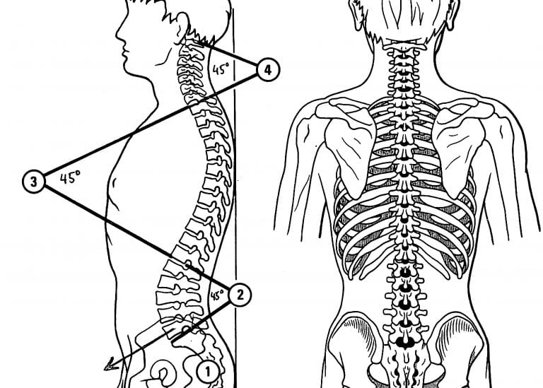 How The Low Back Functions and How to Avoid Back Problems